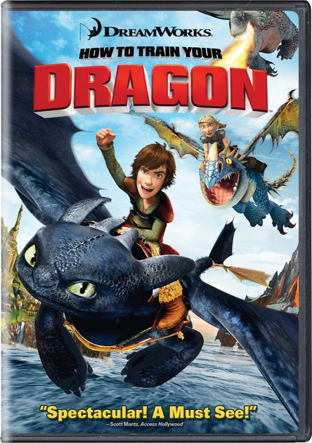 How to Train Your Dragon (DVD) Pre-Owned – Grumpy Bob’s Emporium ...